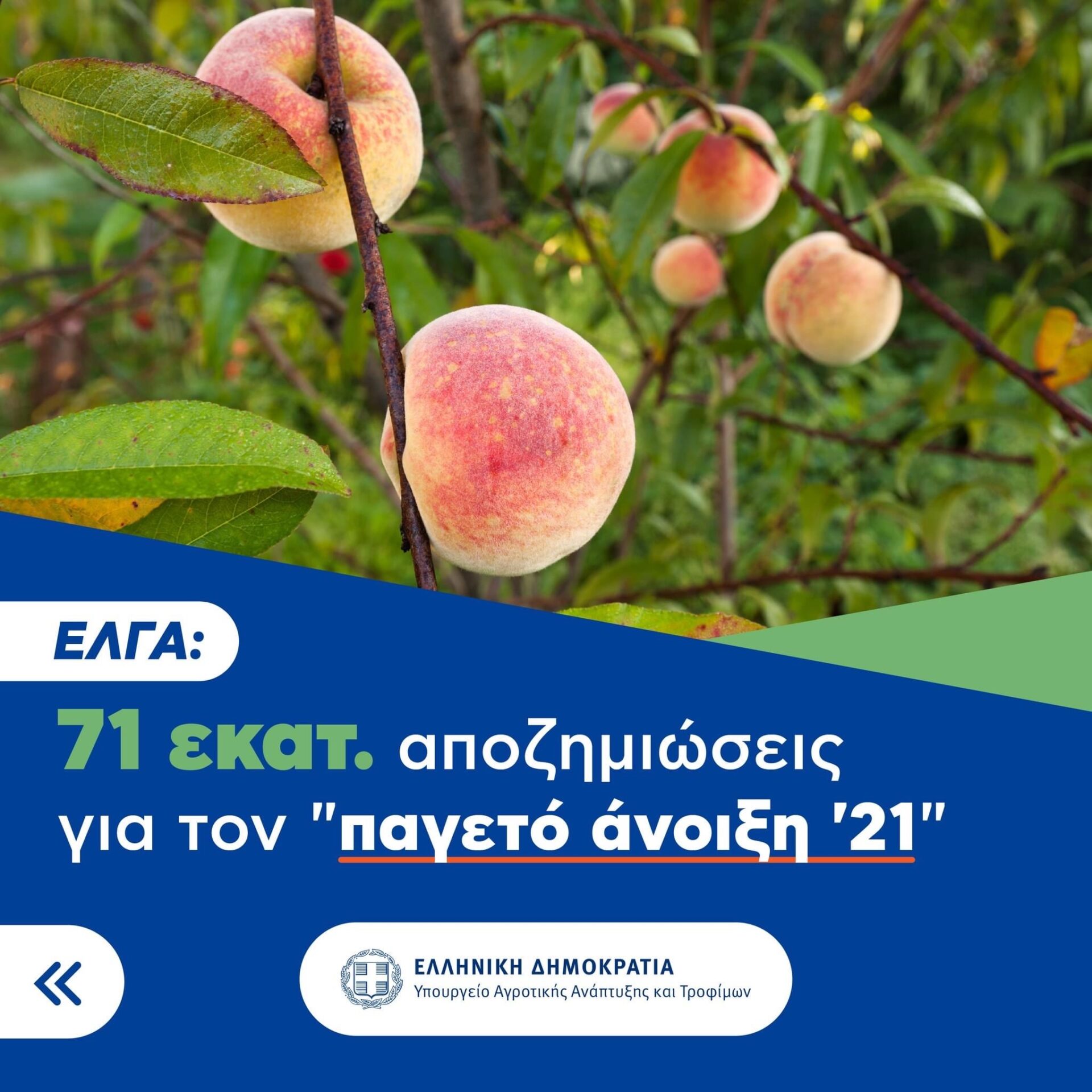 Δημήτριος Οδ. Παπαγιαννίδης: Συλλογικοί φορείς, επιμελητήρια και ...
